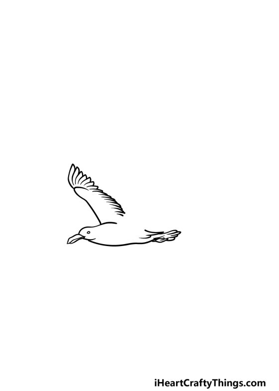 Seagull Drawing - How To Draw A Seagull Step By Step