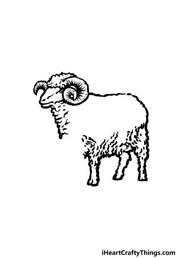 Ram Drawing - How To Draw A Ram Step By Step