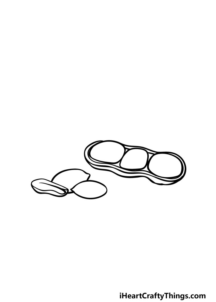 Peanut Drawing - How To Draw A Peanut Step By Step