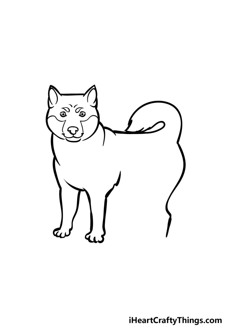 Shiba Inu Drawing - How To Draw A Shiba Inu Step By Step