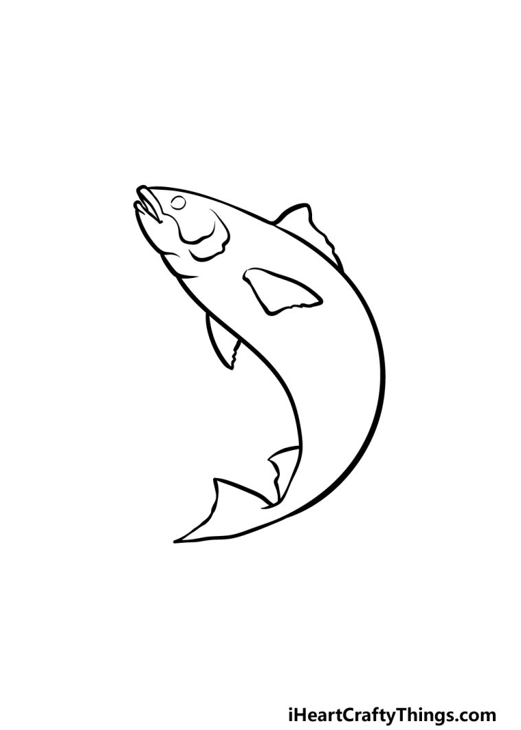 Salmon Drawing - How To Draw A Salmon Step By Step