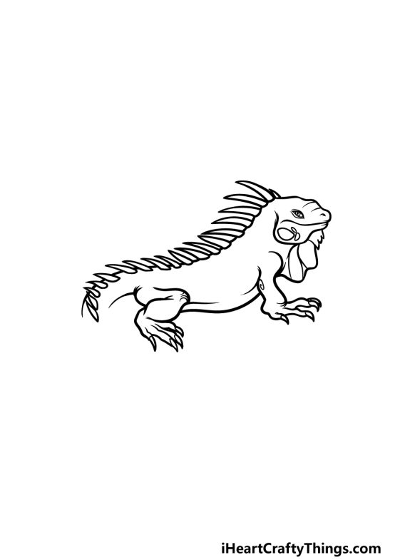 Iguana Drawing - How To Draw An Iguana Step By Step