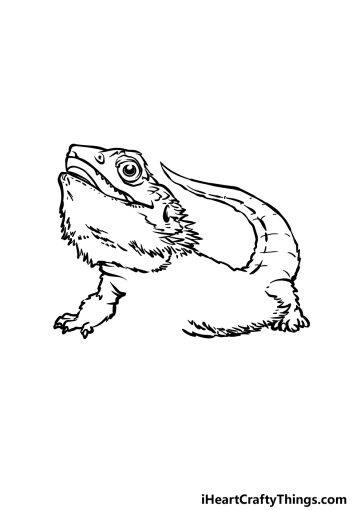 Bearded Dragon Drawing - How To Draw A Bearded Dragon Step By Step