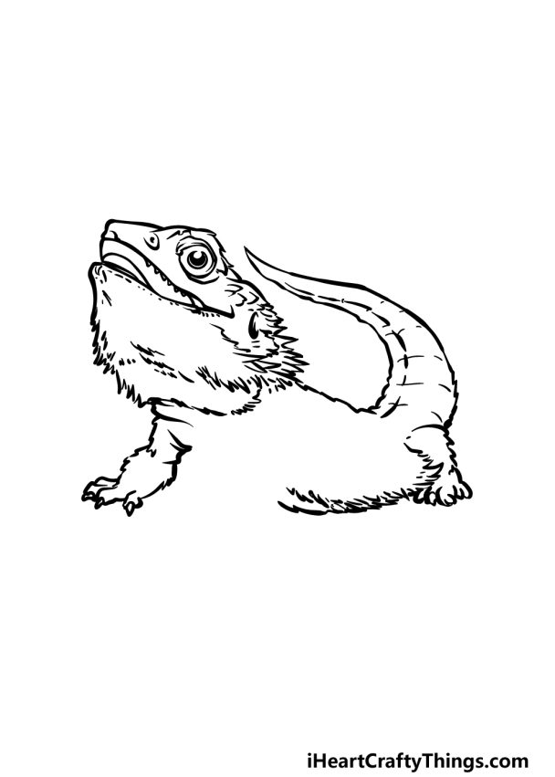 Bearded Dragon Drawing - How To Draw A Bearded Dragon Step By Step