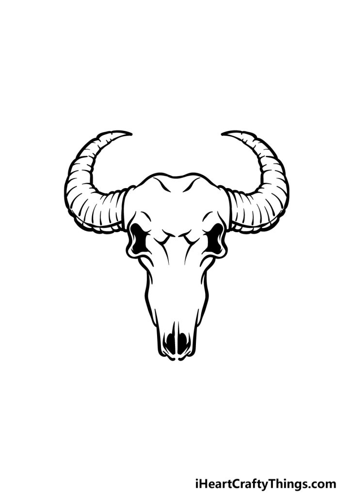 Bull Skull Drawing - How To Draw A Bull Skull Step By Step