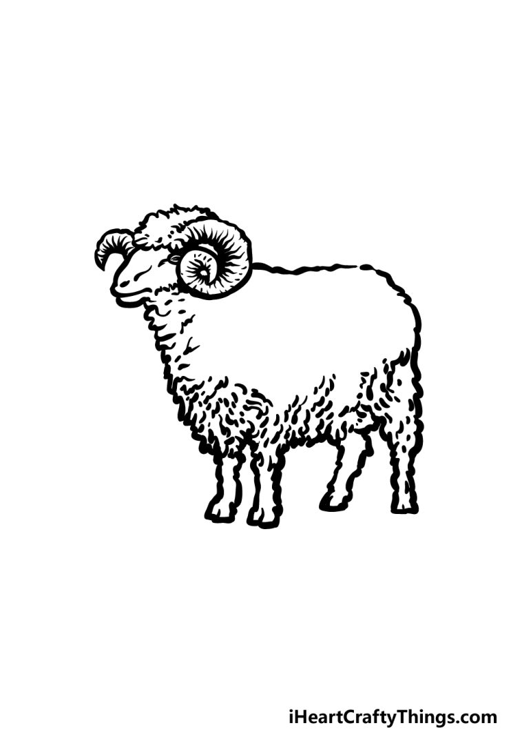 Ram Drawing - How To Draw A Ram Step By Step