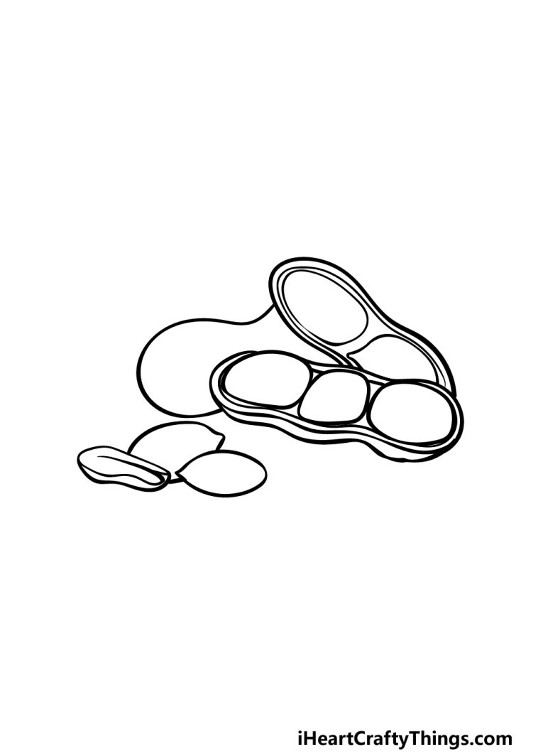 Peanut Drawing - How To Draw A Peanut Step By Step
