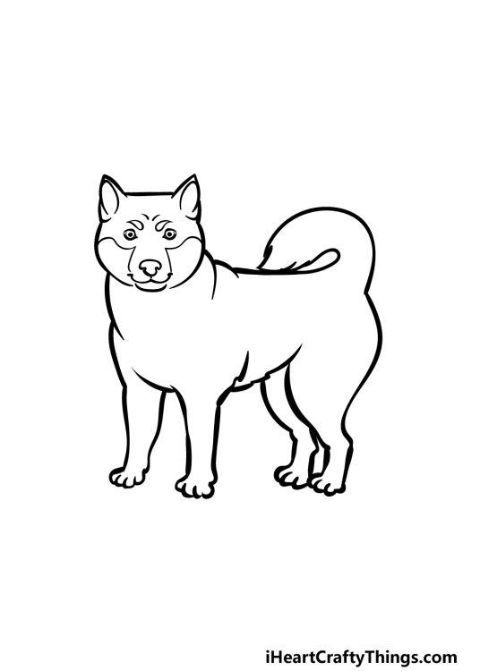 Shiba Inu Drawing - How To Draw A Shiba Inu Step By Step