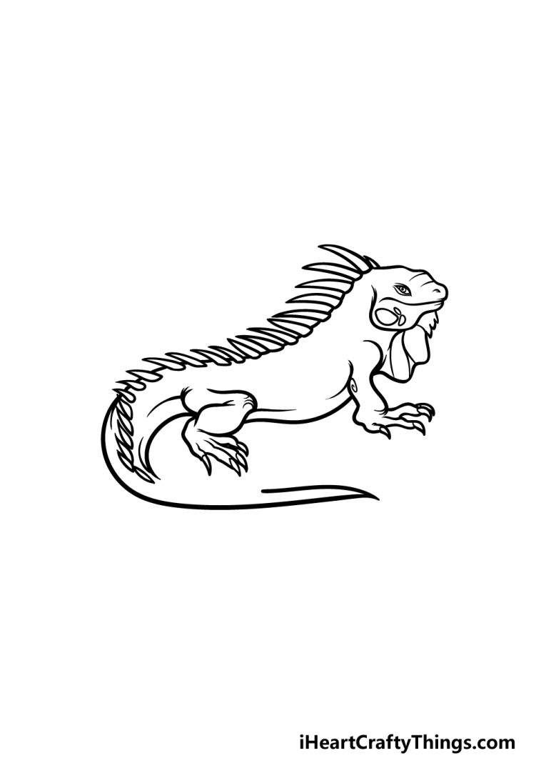 Iguana Drawing - How To Draw An Iguana Step By Step