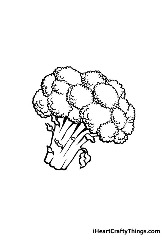 Broccoli Drawing - How To Draw Broccoli Step By Step