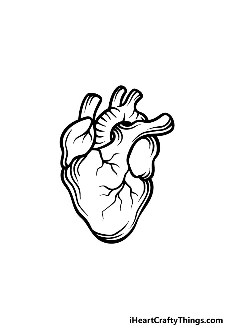 Realistic Heart Drawing - How To Draw A Realistic Heart Step By Step