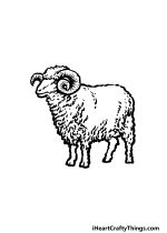 Ram Drawing - How To Draw A Ram Step By Step