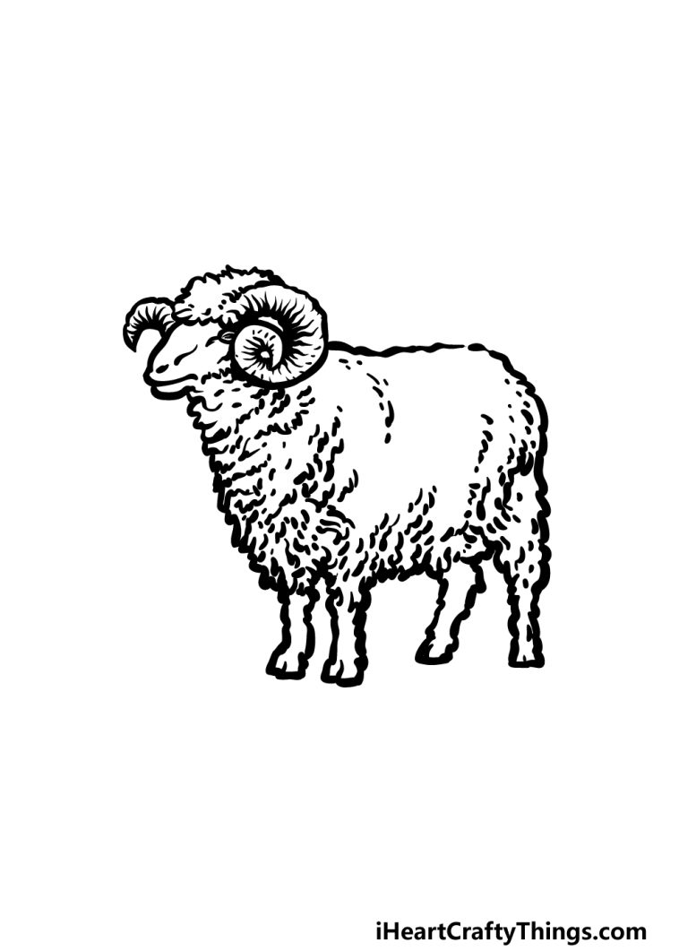 Ram Drawing - How To Draw A Ram Step By Step