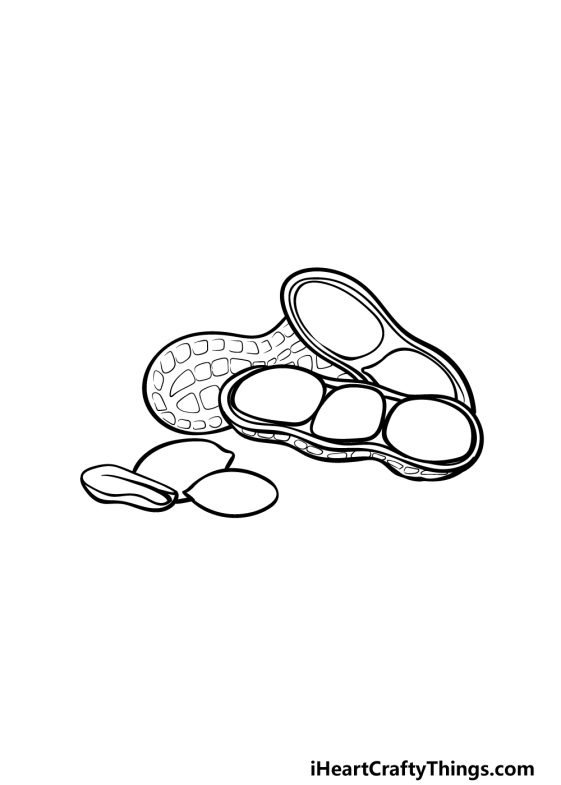 Peanut Drawing - How To Draw A Peanut Step By Step