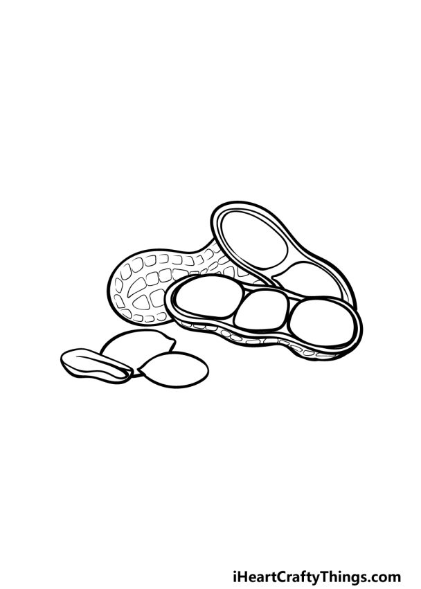 Peanut Drawing - How To Draw A Peanut Step By Step