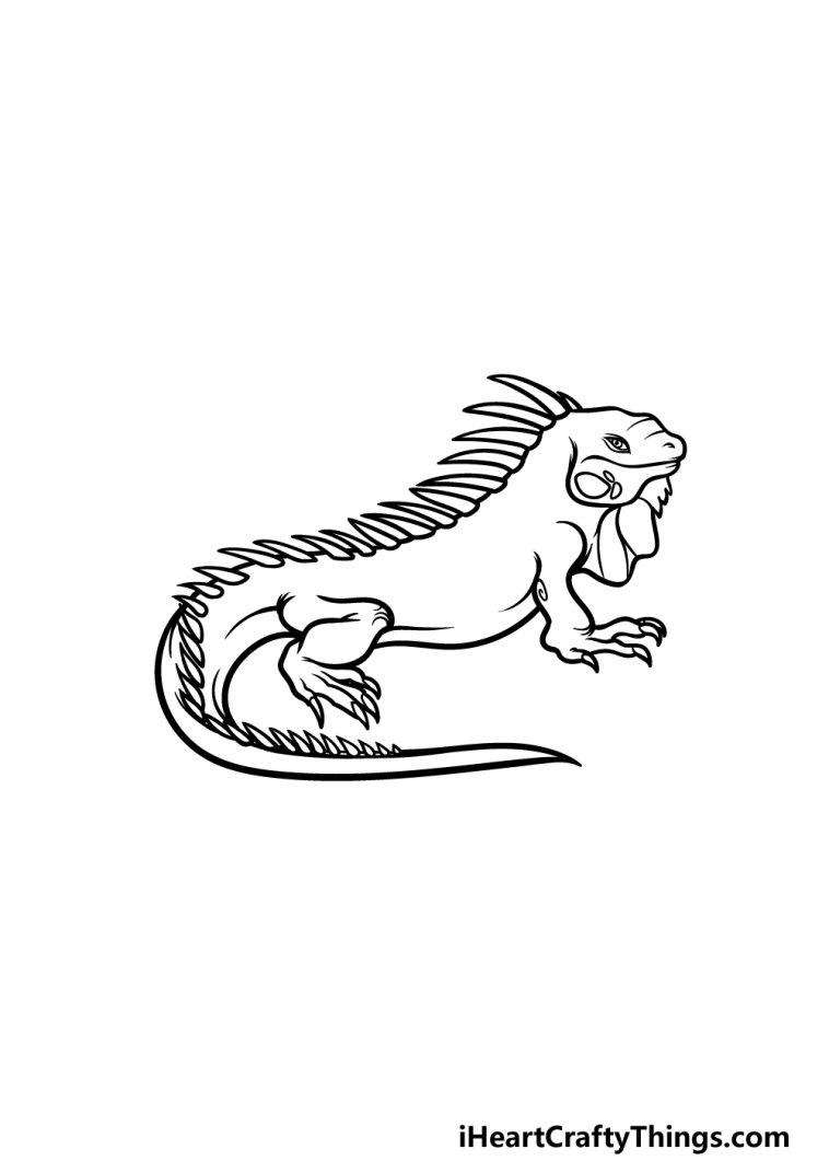 Iguana Drawing - How To Draw An Iguana Step By Step