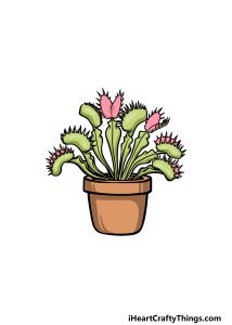 Venus Fly Trap Drawing - How To Draw A Venus Fly Trap Step By Step