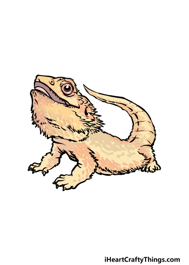Bearded Dragon Drawing - How To Draw A Bearded Dragon Step By Step