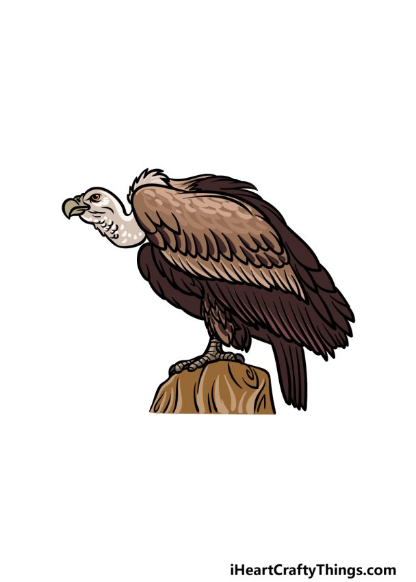 Vulture Drawing - How To Draw A Vulture Step By Step