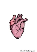 Realistic Heart Drawing - How To Draw A Realistic Heart Step By Step