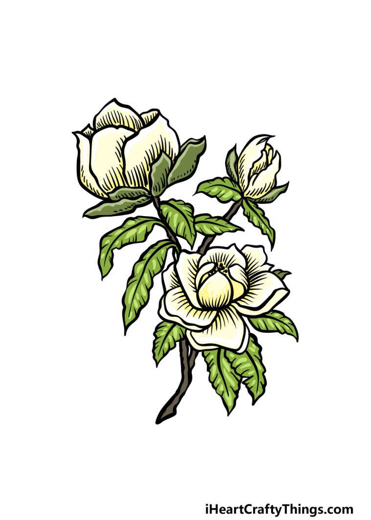 Magnolia Flower Drawing - How To Draw A Magnolia Flower