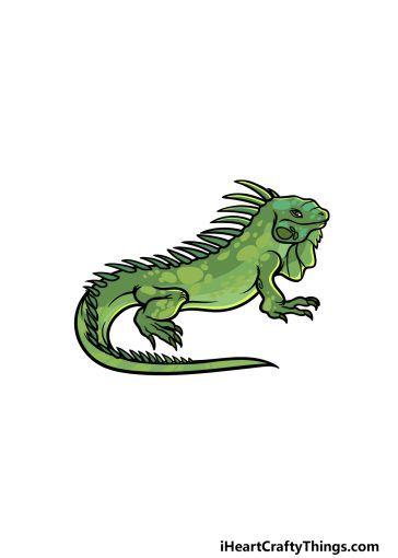 Iguana Drawing - How To Draw An Iguana Step By Step