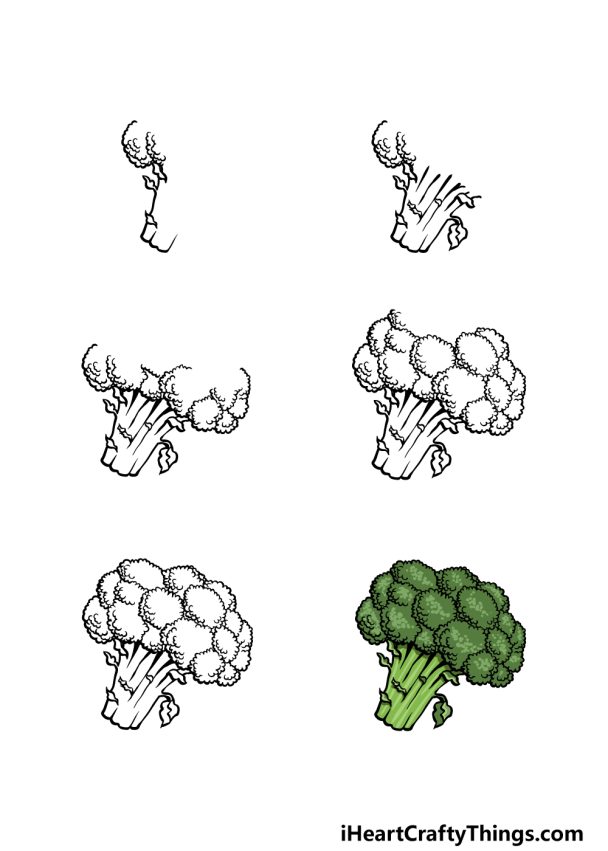 Broccoli Drawing - How To Draw Broccoli Step By Step