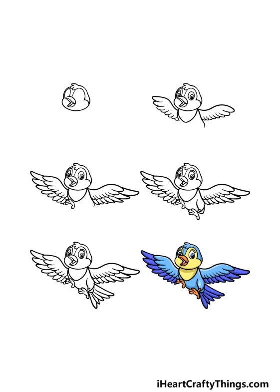 Cartoon Bird Drawing - How To Draw A Cartoon Bird Step By Step