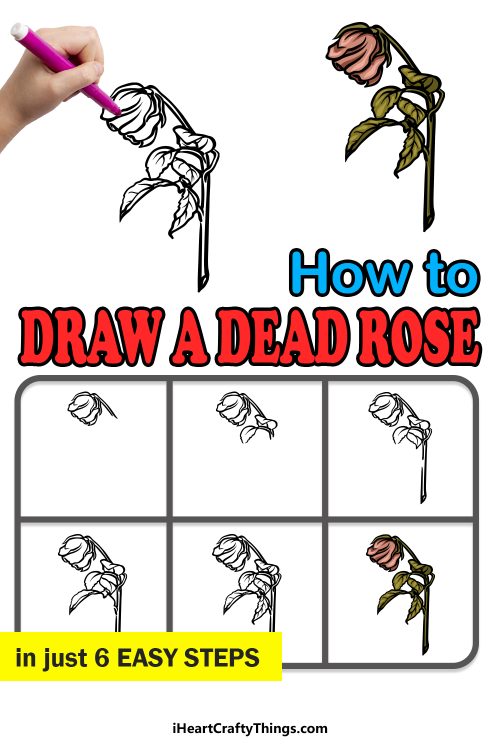 How To Draw A Wilting Rose - Williams Stalow