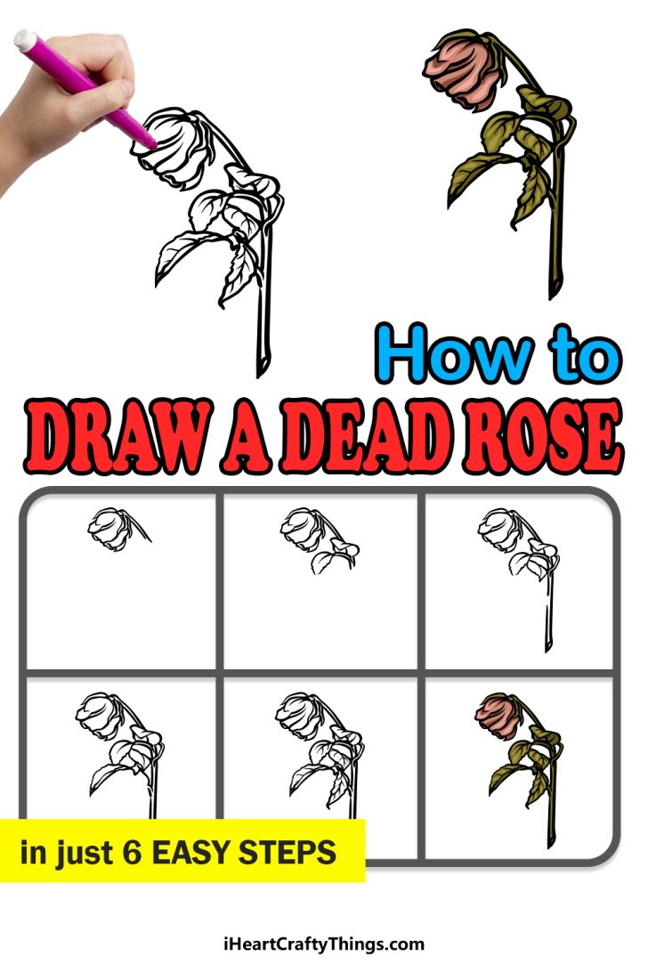 How To Draw A Wilting Rose - Williams Stalow