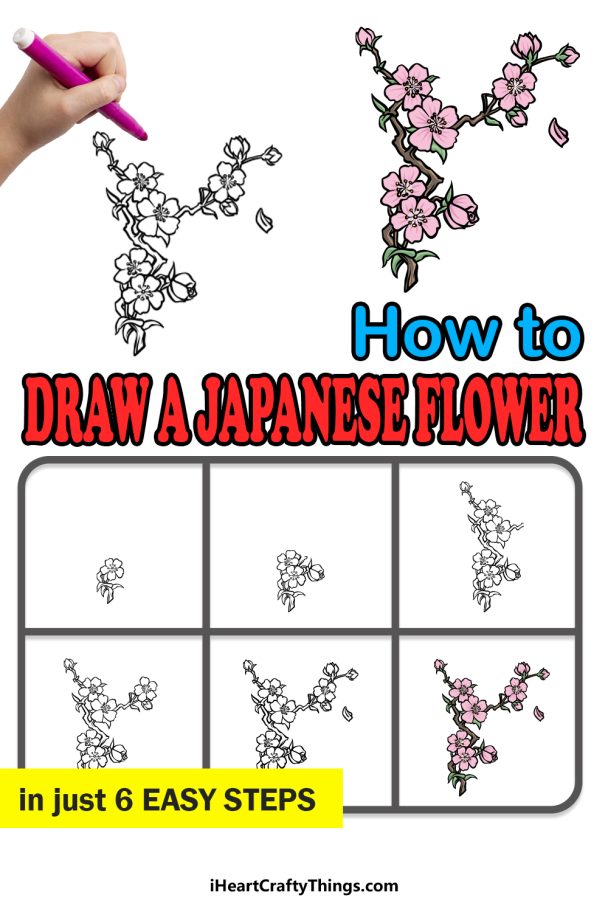 Japanese Flower Drawing - How To Draw A Japanese Flower Step By Step