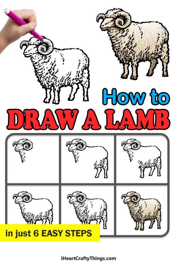 Ram Drawing - How To Draw A Ram Step By Step