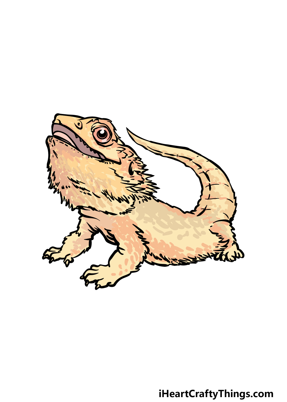 Bearded Dragon Drawing - How To Draw A Bearded Dragon Step By Step