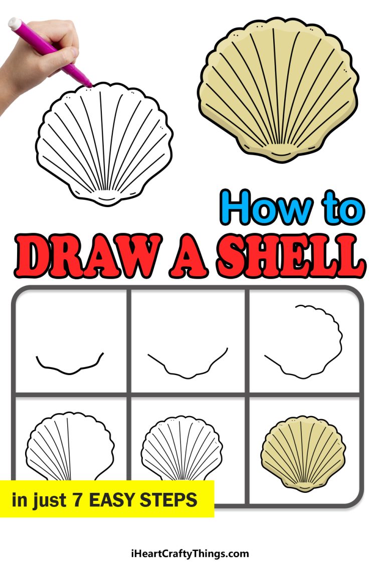 Shell Drawing - How To Draw A Shell Step By Step