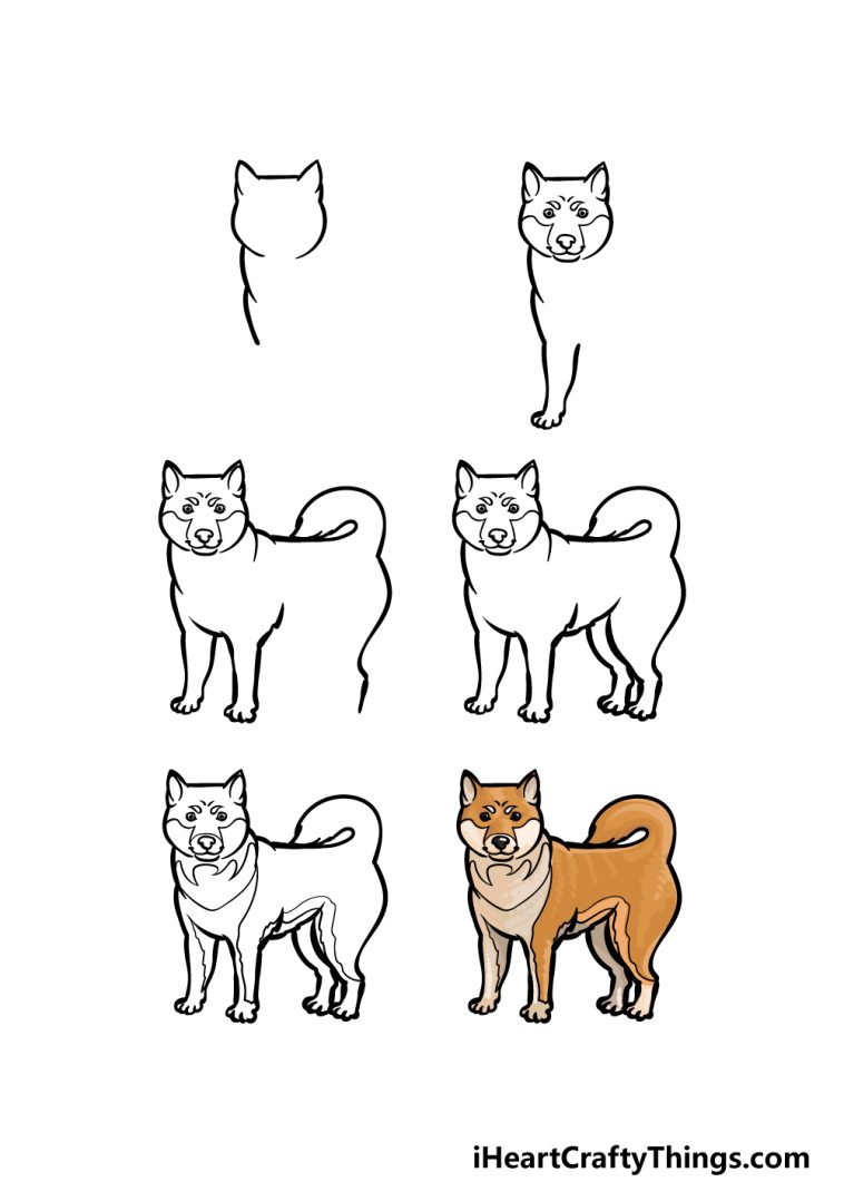 Shiba Inu Drawing - How To Draw A Shiba Inu Step By Step