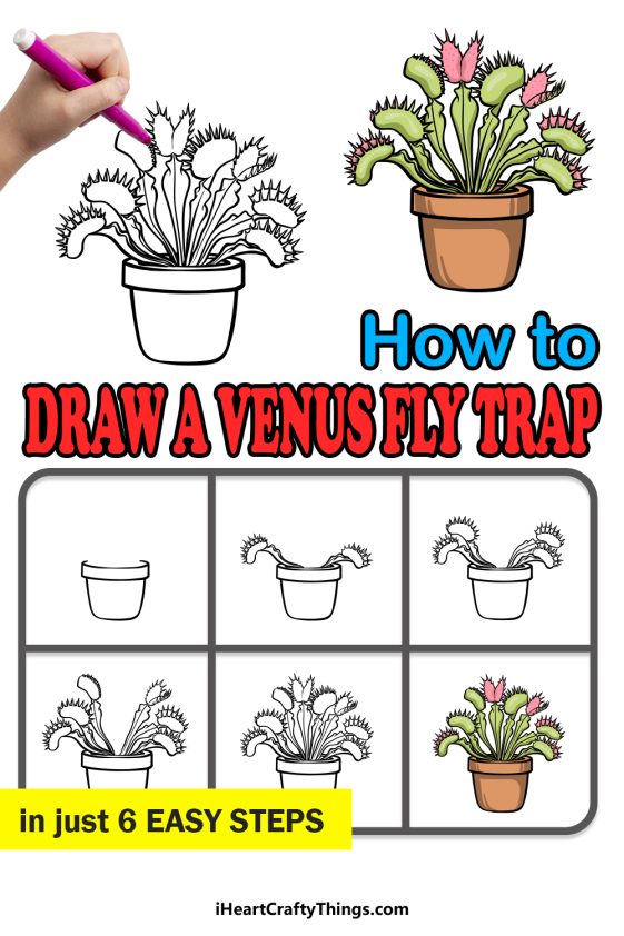 Venus Fly Trap Drawing - How To Draw A Venus Fly Trap Step By Step