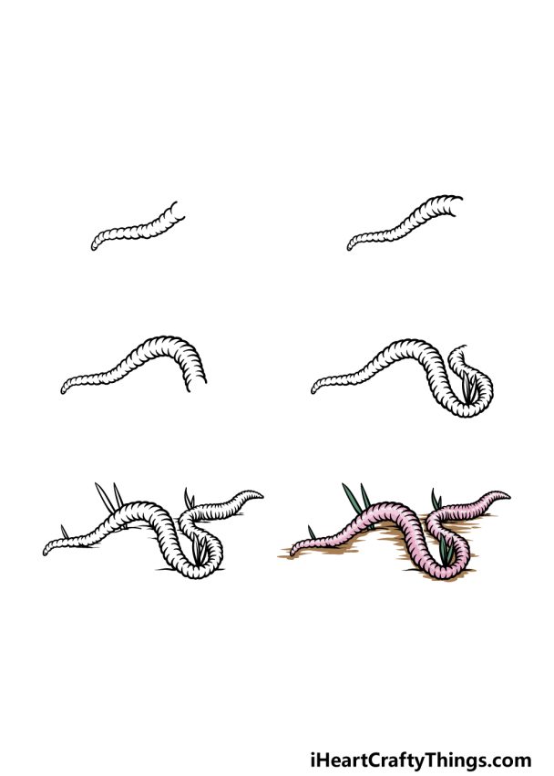Worm Drawing - How To Draw A Worm Step By Step