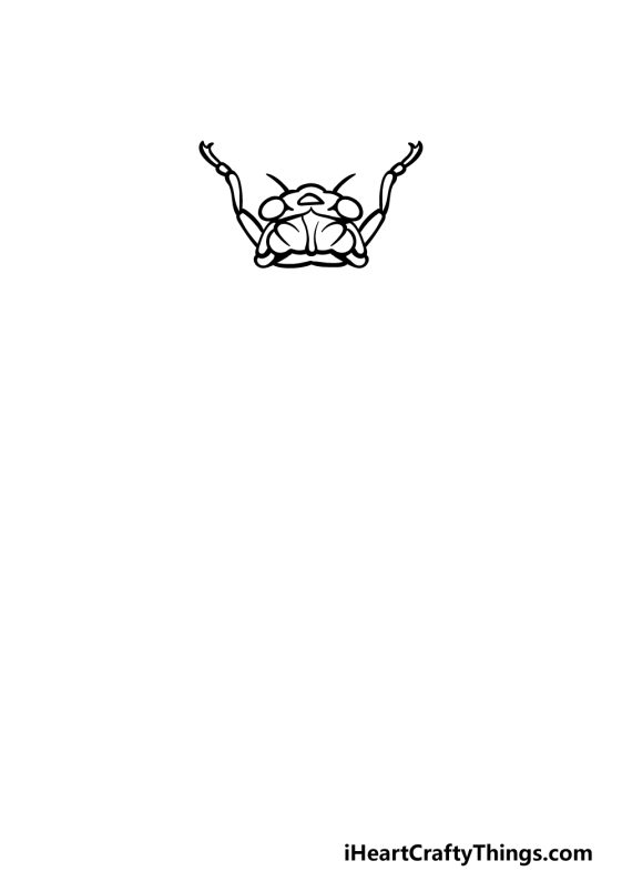 Cicada Drawing - How To Draw A Cicada Step By Step