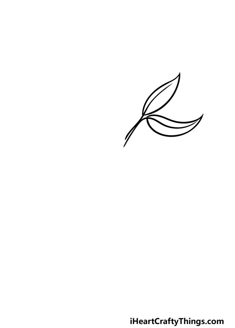 Olive Branch Drawing - How To Draw An Olive Branch Step By Step