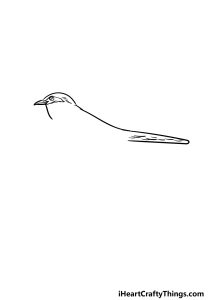 Mockingbird Drawing - How To Draw A Mockingbird Step By Step