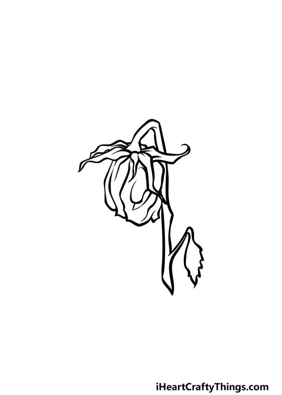 Dead Flower Drawing - How To Draw A Dead Flower Step By Step