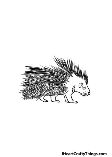 Porcupine Drawing - How To Draw A Porcupine Step By Step