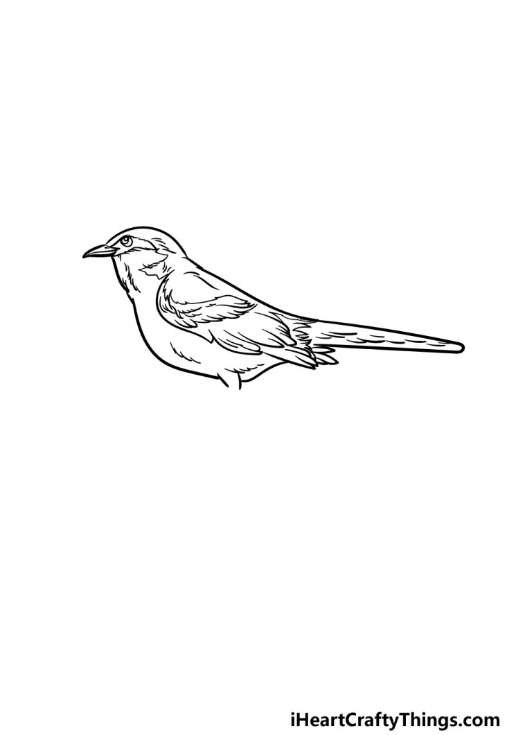 Mockingbird Drawing - How To Draw A Mockingbird Step By Step