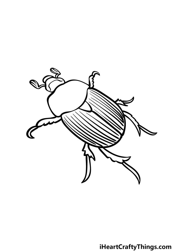 Beetle Drawing - How To Draw A Beetle Step By Step