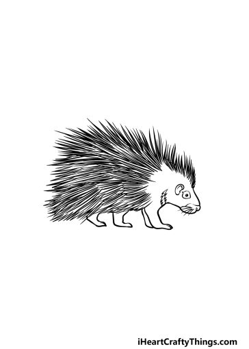 Porcupine Drawing - How To Draw A Porcupine Step By Step