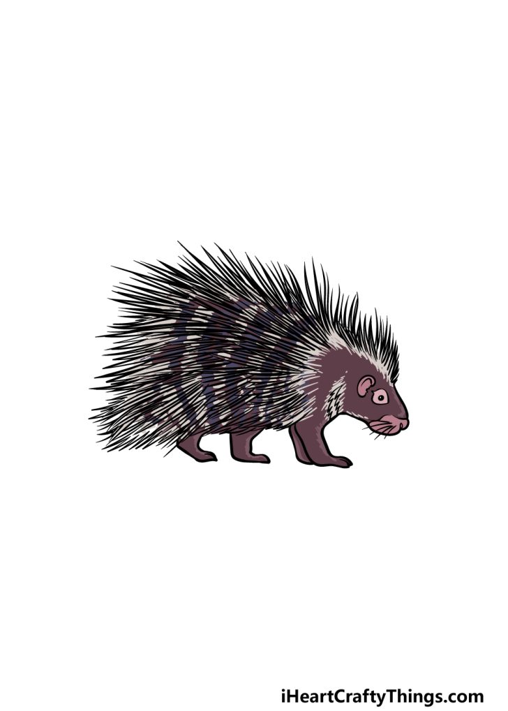 Porcupine Drawing - How To Draw A Porcupine Step By Step