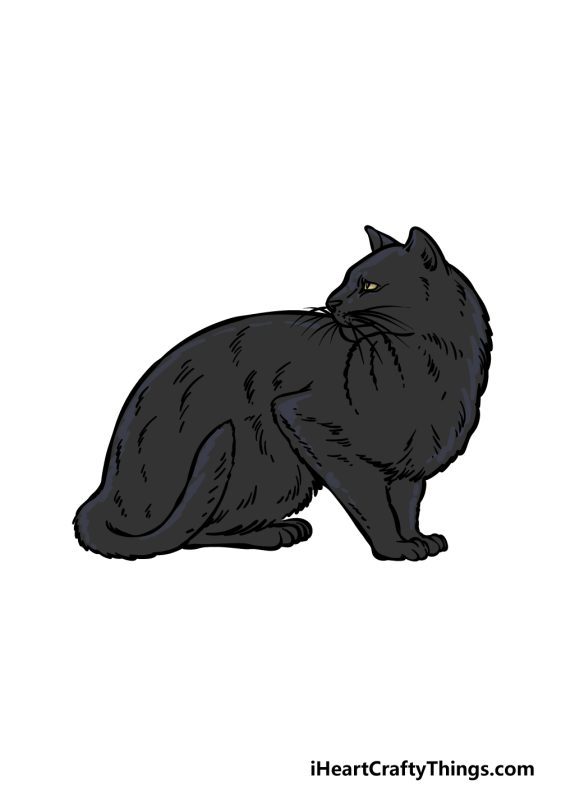 Black Cat Drawing - How To Draw A Black Cat Step By Step