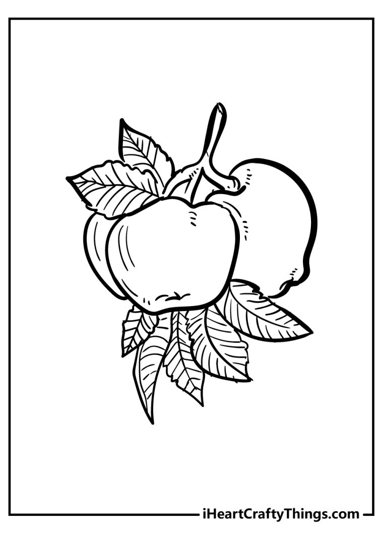 15 Apple Coloring Pages (100% Free Printables)