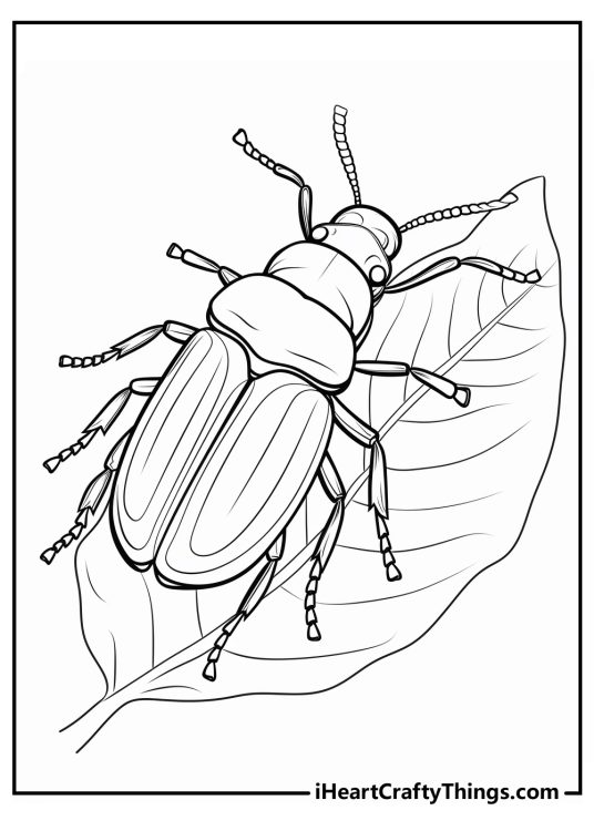 15 Bug Coloring Pages (100% Free Printables)