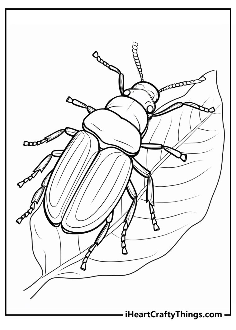 15 Bug Coloring Pages (100% Free Printables)